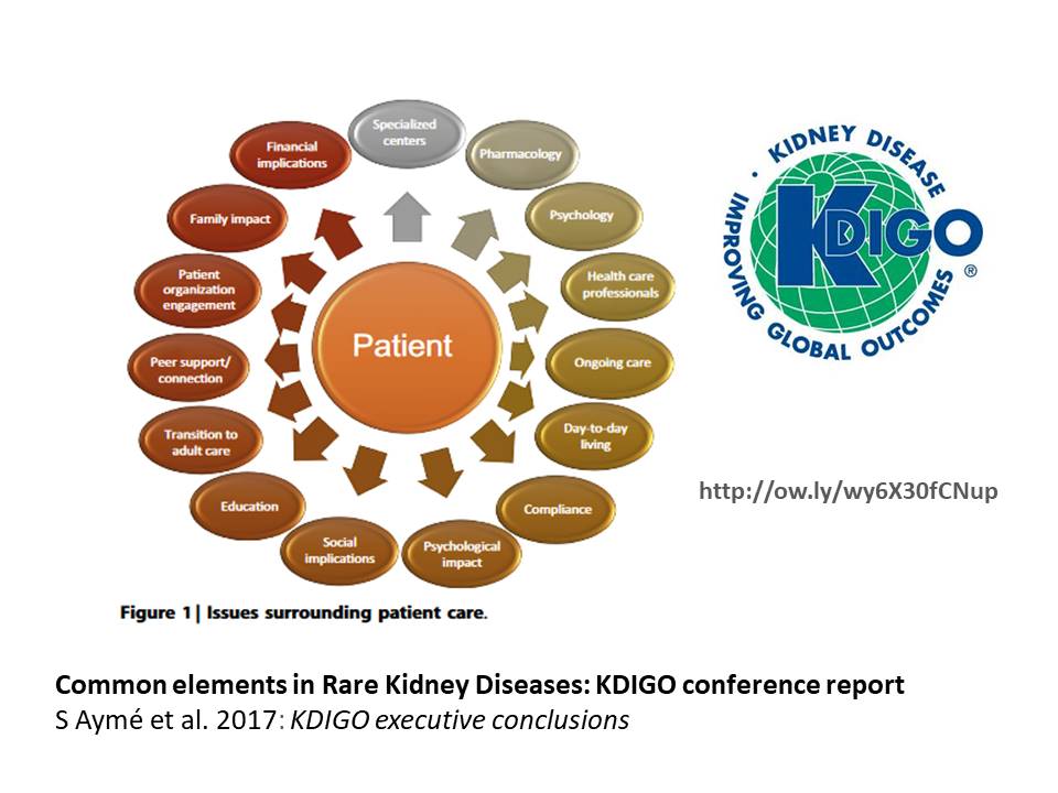 aHUS & C3G: KDIGO Physician Reference Guide (Oct 2017) - aHUS Alliance ...