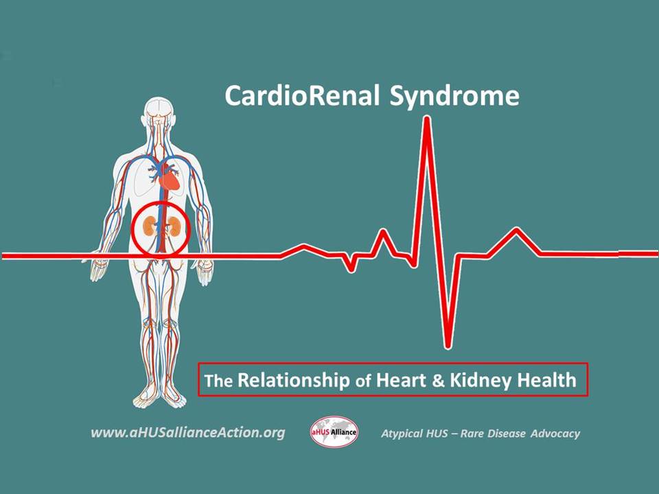 CardioRenal Syndrome: The Relationship of Heart & Kidney Health - aHUS ...