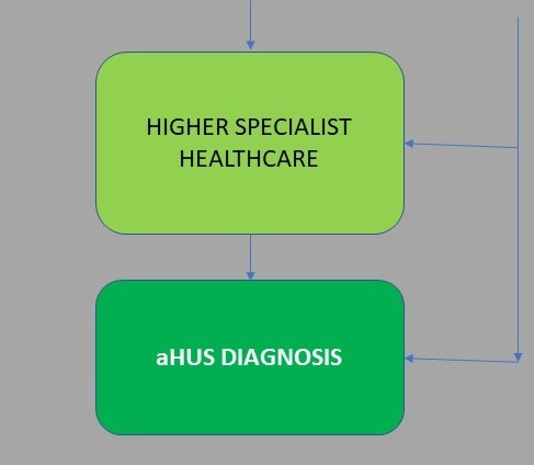 The aHUS Diagnosis Process - aHUS Alliance ActionaHUS Alliance Action