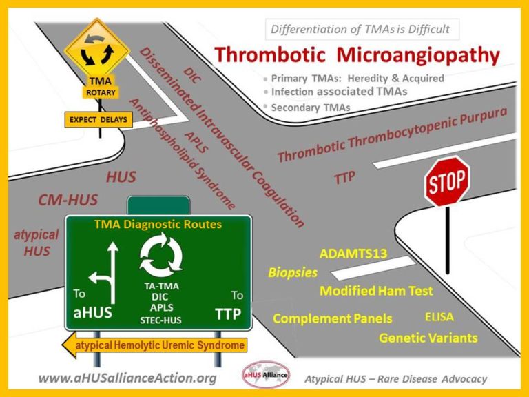 TMA: the Need for a Multidisciplinary Team Approach - aHUS Alliance Action