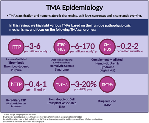 TMAs and aHUS illustrated - aHUS Alliance Action
