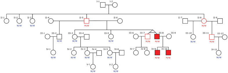 Iceland and aHUS - aHUS Alliance Action