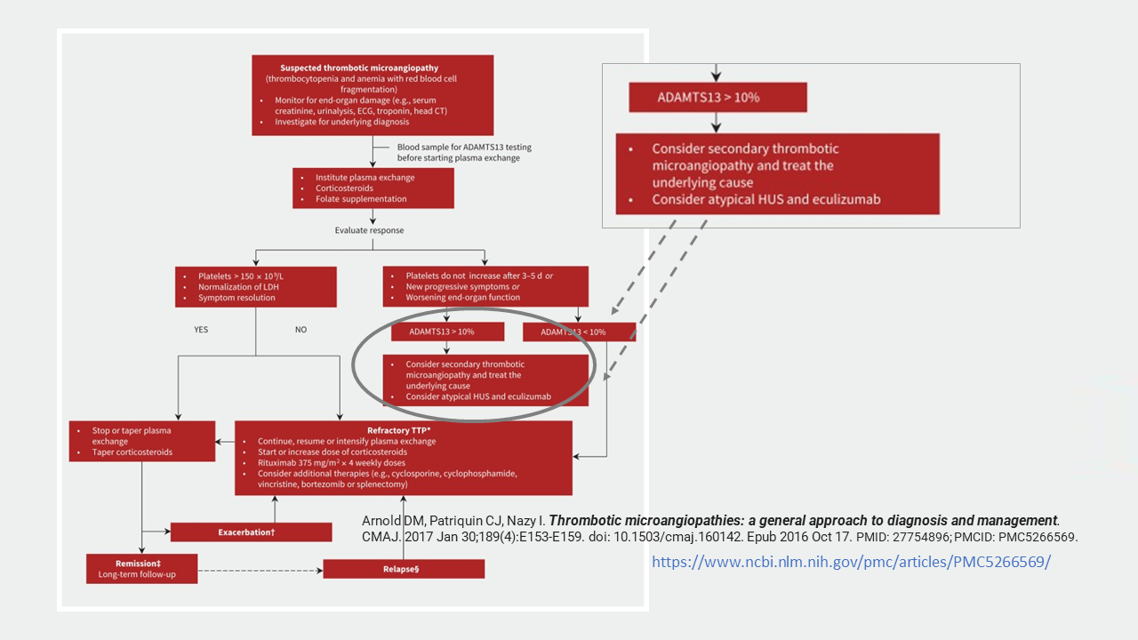 Algorithms: Steps to Diagnose aHUS & other TMAs - aHUS Alliance Action