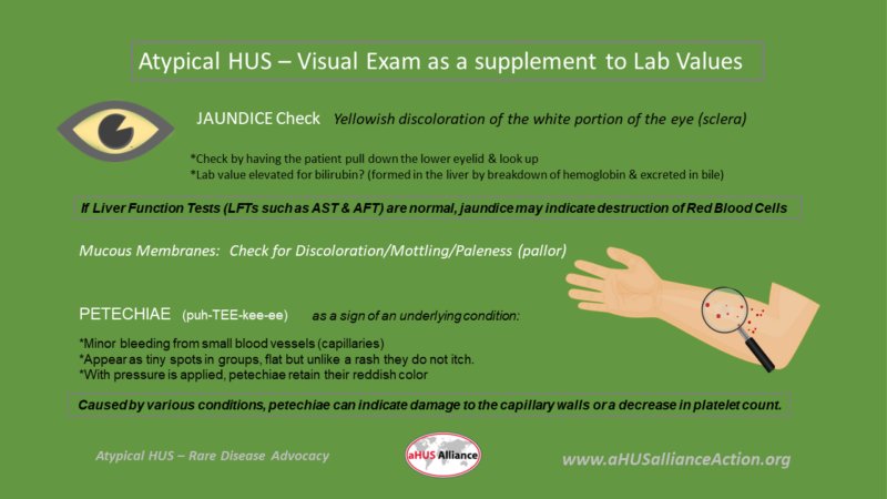 Atypical HUS & Soft Tissue Examination? - aHUS Alliance Action