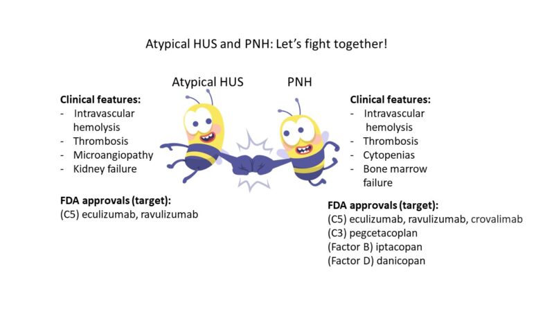 Atypical HUS and PNH: better together? - aHUS Alliance Action